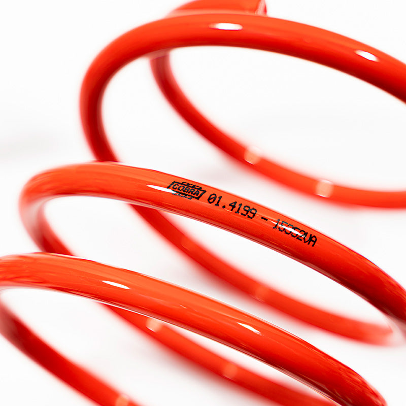 Cobra 40mm Front & Rear Springs - VW Transporter T6.1 | Redknot Campers